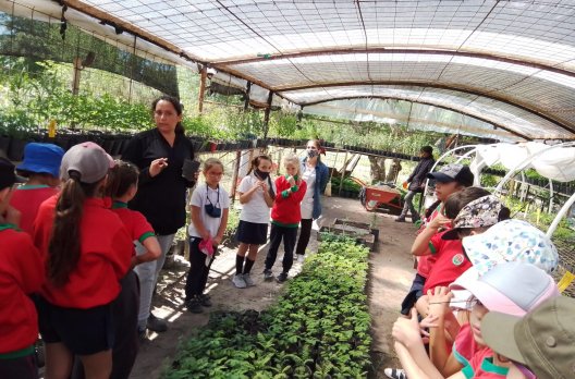 El Vivero Municipal recibió la visita de la Escuela Rocamora ...